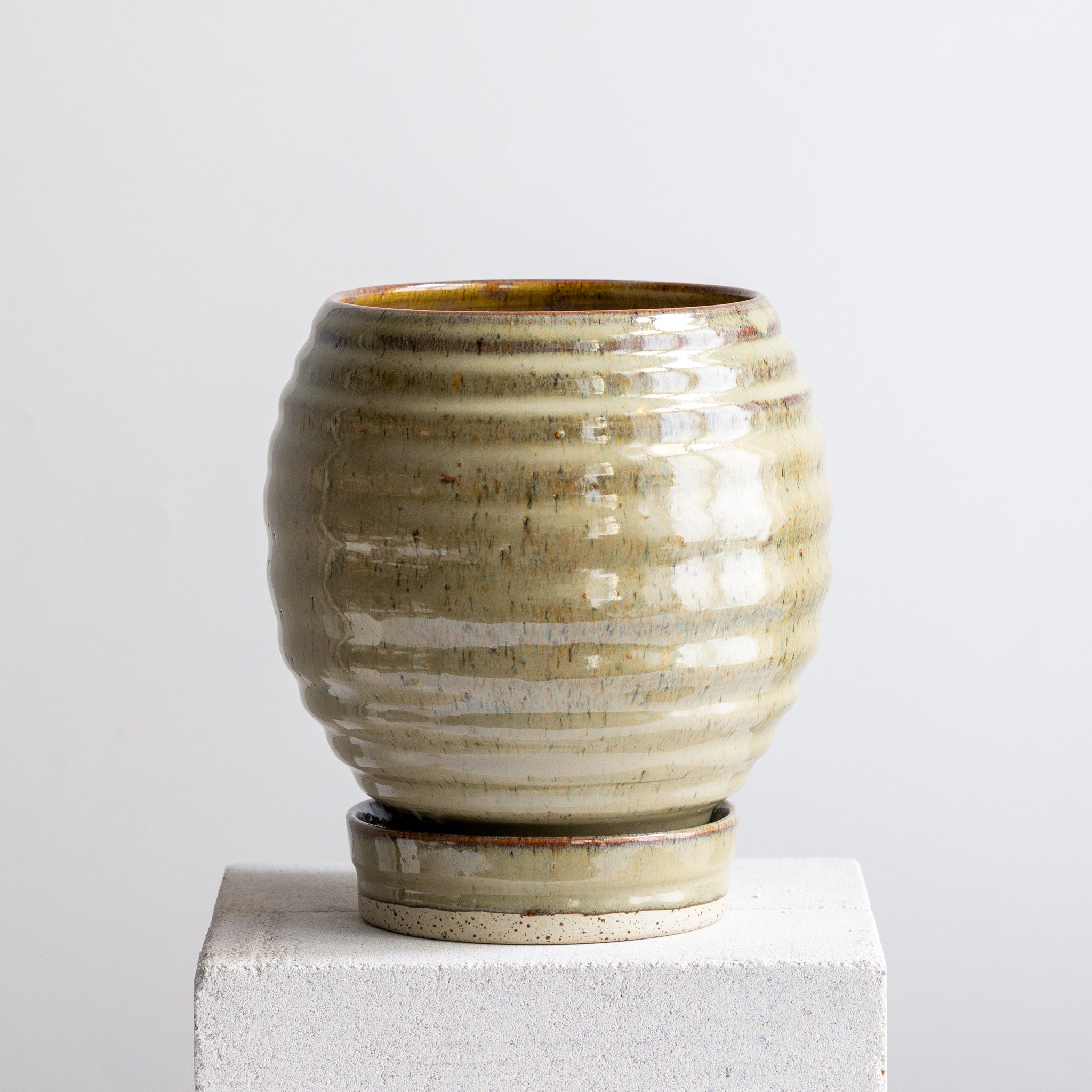 Wild Things Plant Pot - No 3 – Studio Arhoj Store