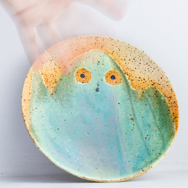Wall Dish & Plate – Studio Arhoj Store